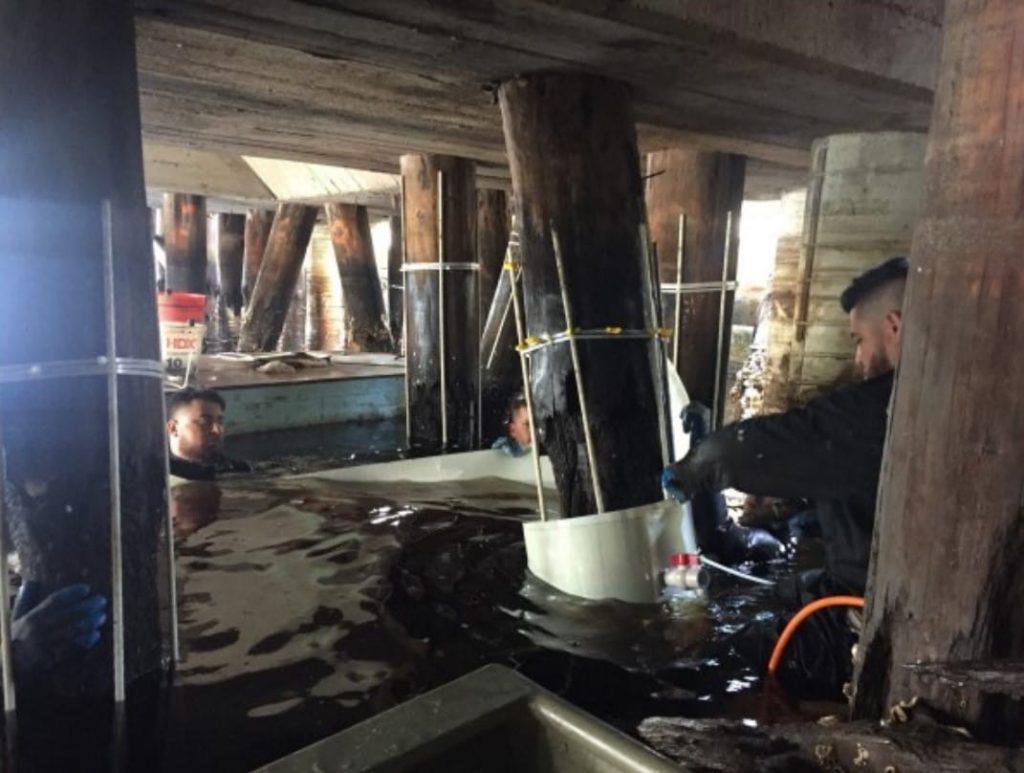 New Advances in Repair of Submerged Piles - PileMedic®