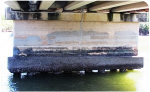 Repair of Deteriorated Bridge Piles in a Crocodile-Infested River ...