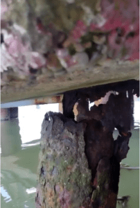 Pile Repair Methods - PileMedic®